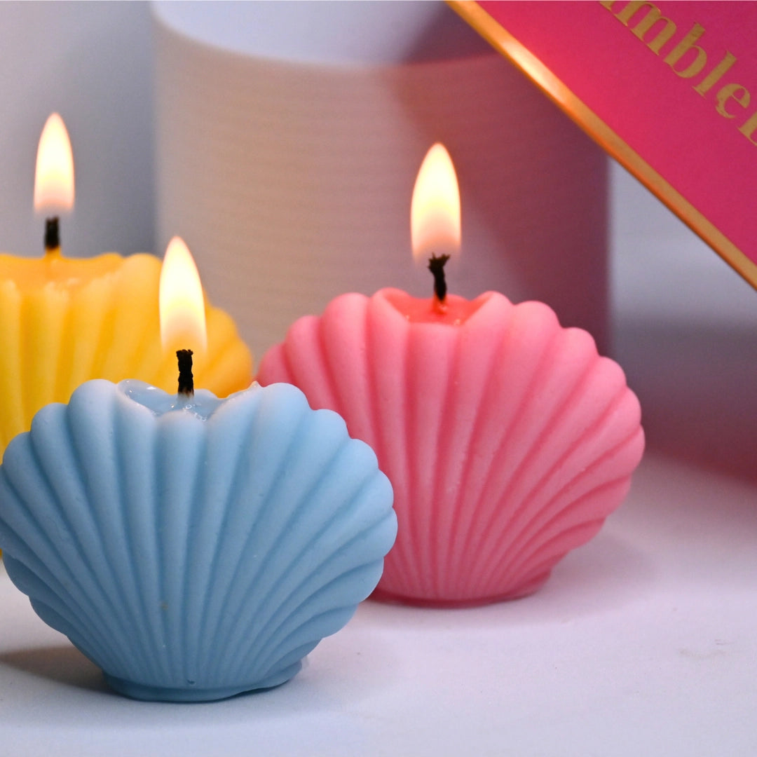 Clam Shell Gift Box of 6 – BumbleBee Candles